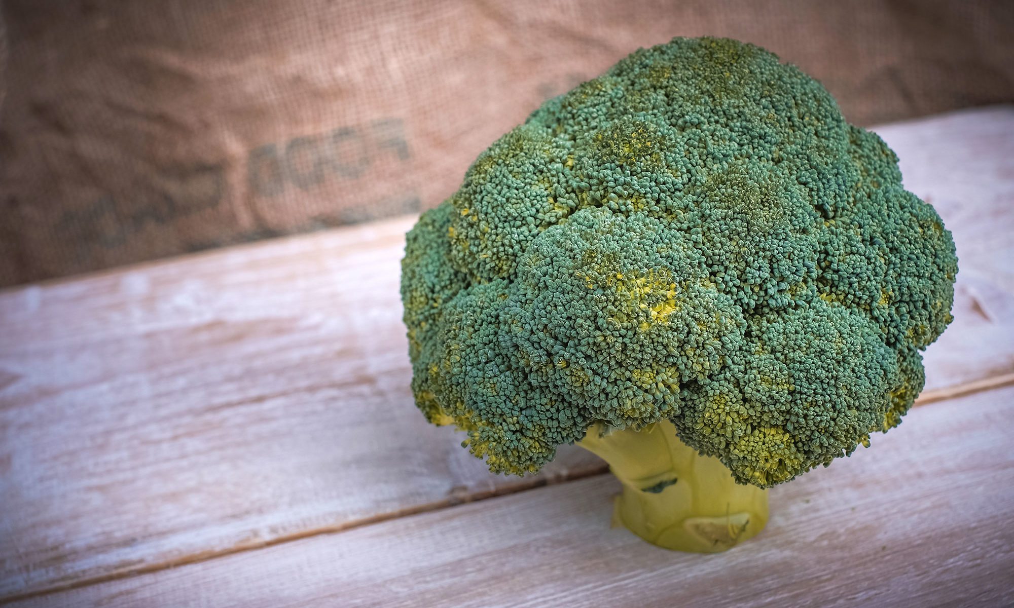 Franse onderzoekers maken uv-gevoelig biopolymeer uit broccoli | Agro ...
