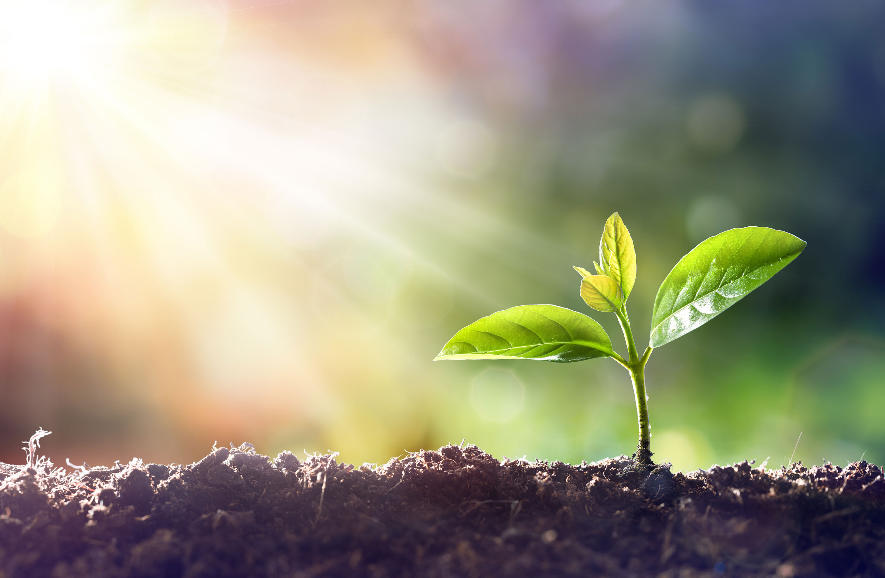 CBS brengt Groene Groei Nederland in kaart | Agro&Chemie