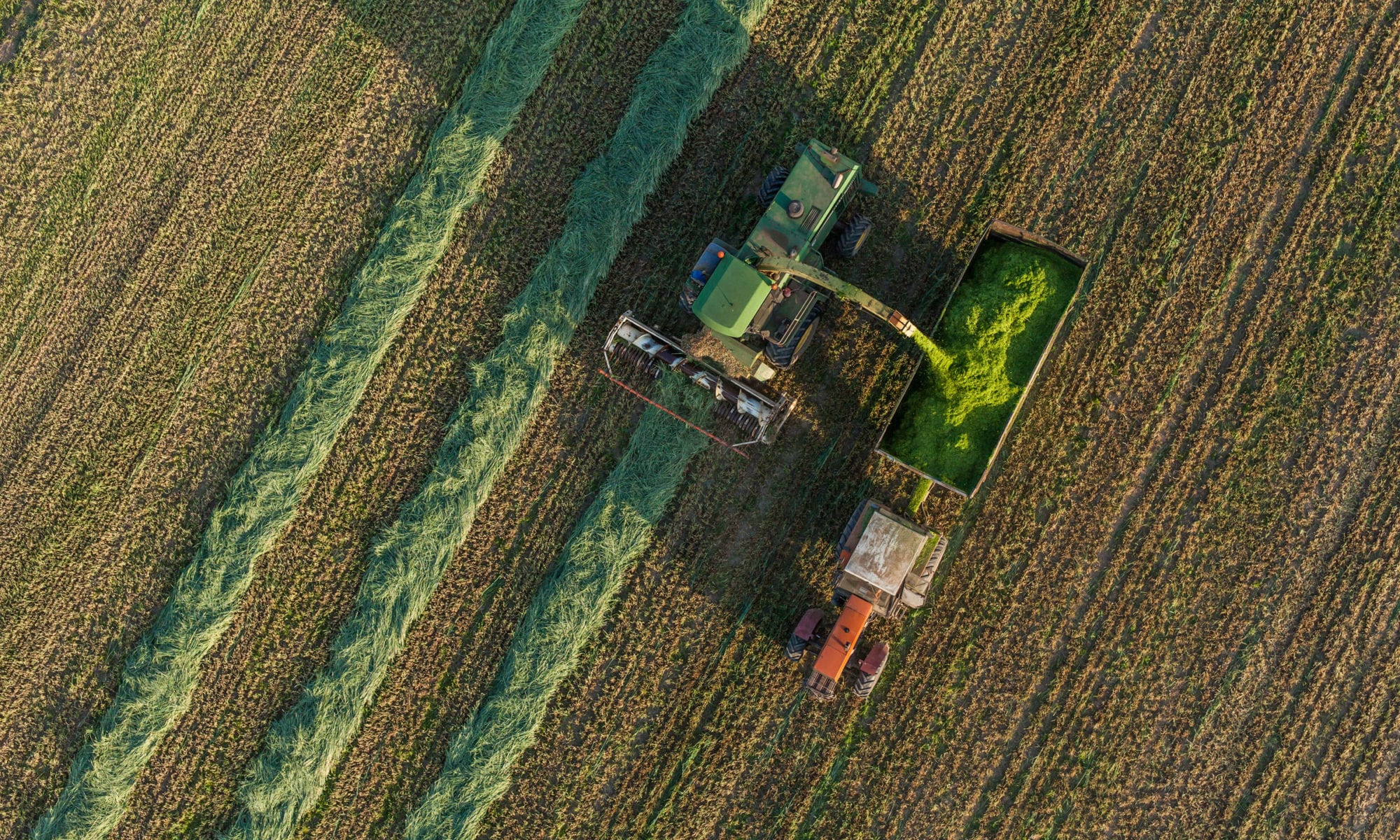 'Nieuwe landbouw is circulair' | Agro&Chemie