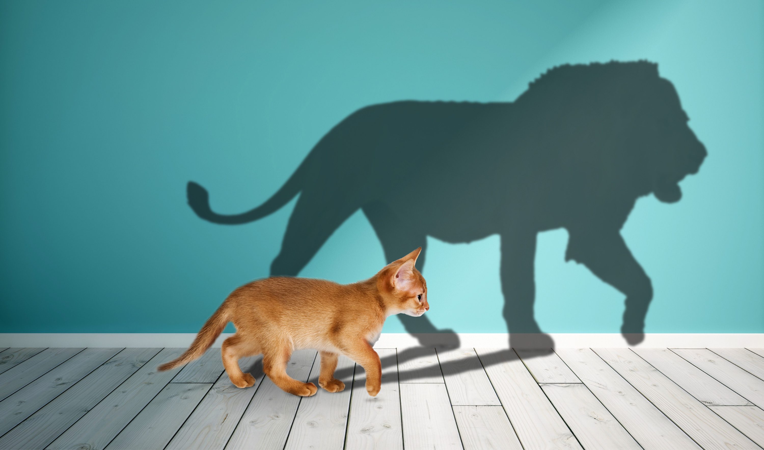 Deadline voor BioTech SME Awards verlengd | Agro&Chemie