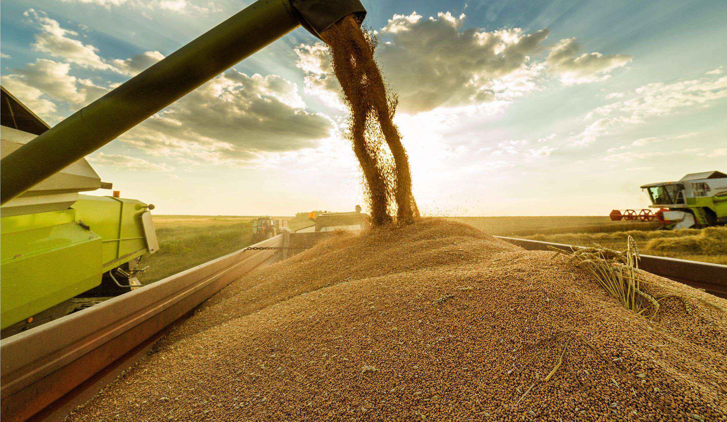 Integratie Vlaamse agrovoedingsector in Europese bio-economie is ...