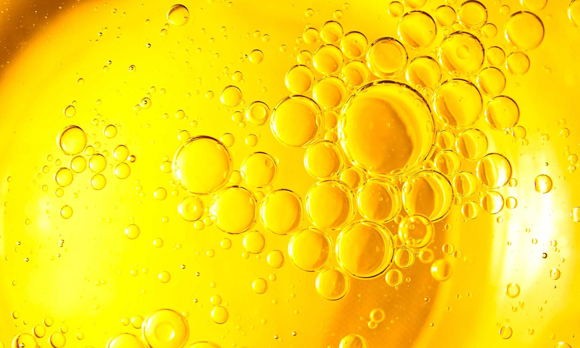 Biobrandstof verlaagt CO2-uitstoot fors | Agro&Chemie