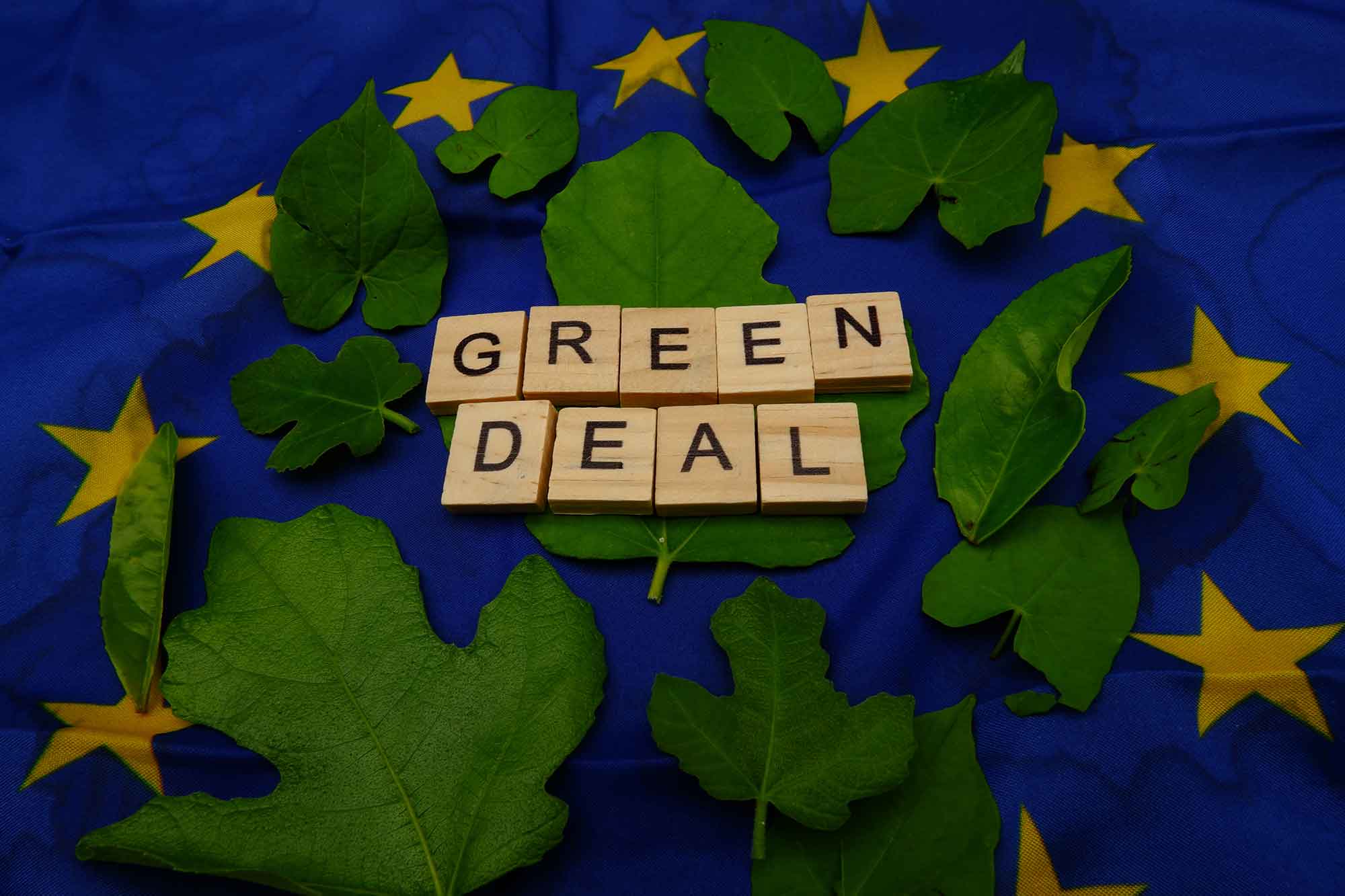 The European Green Deal Call- kansen voor onderzoek en innovatie | Agro ...