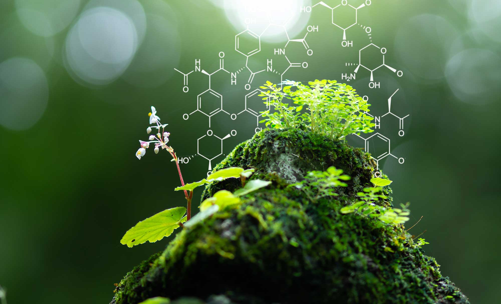 CEFIC lanceert sectorgroep voor biobased chemicaliën | Agro&Chemie