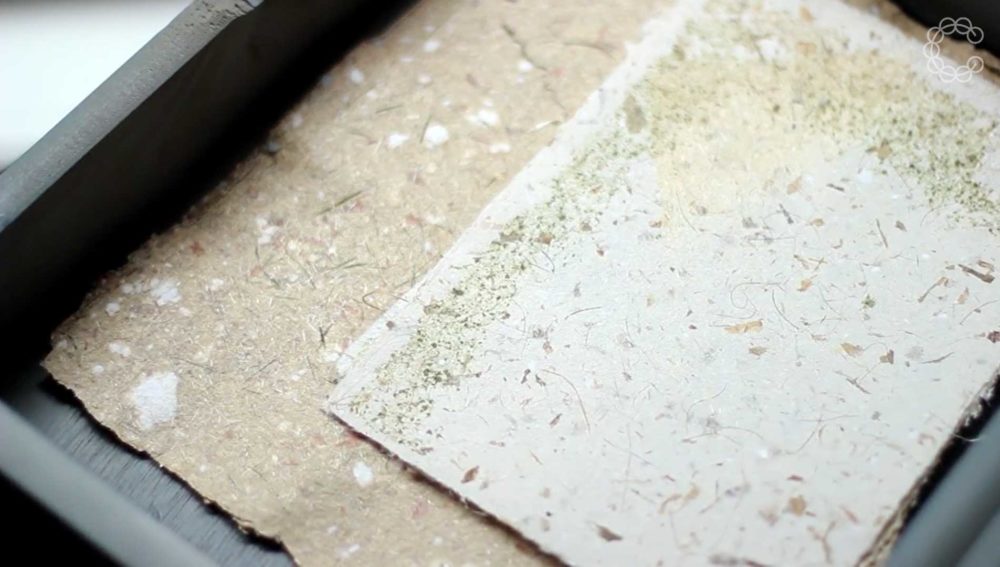 Pulp papier Archives | Agro&Chemie