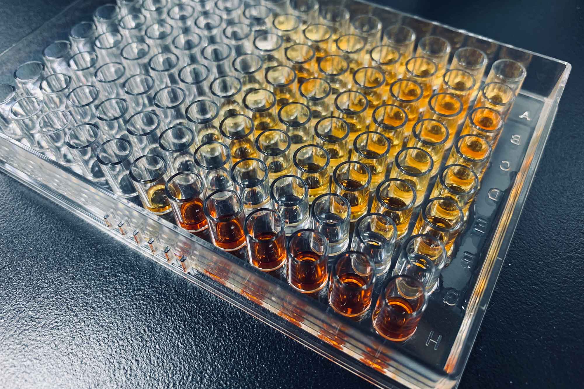 Partners gezocht voor ontwikkeling enzymen-toolbox | Agro&Chemie