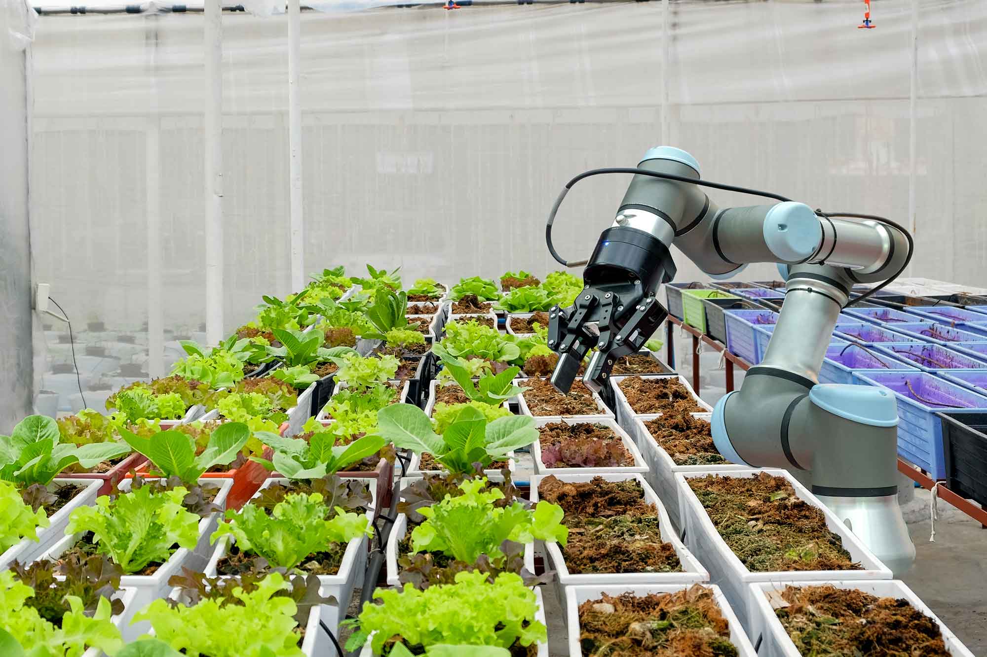 €17 Miljoen voor adaptieve & autonome tuinbouw-groeisystemen | Agro&Chemie