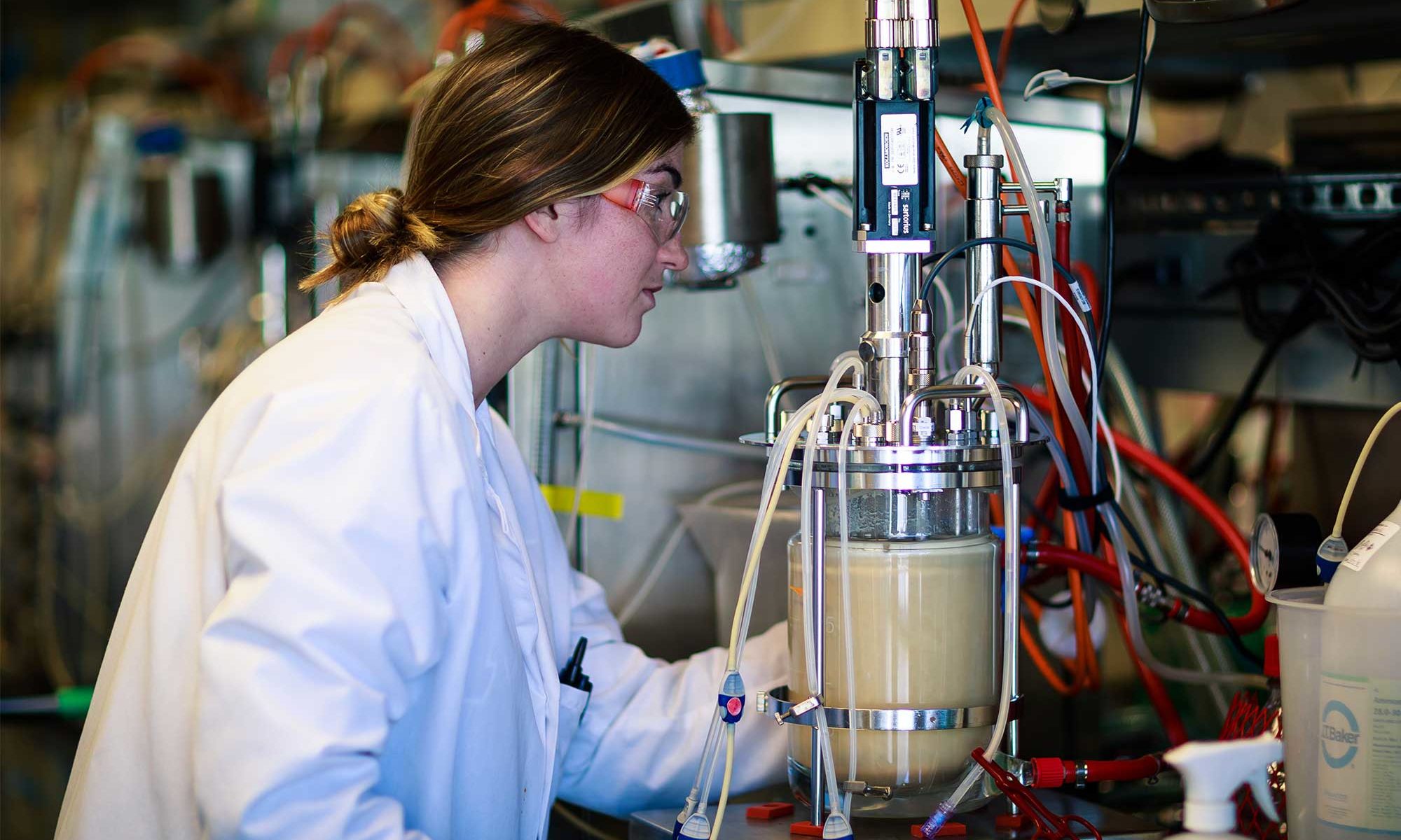 DSM krijgt exclusieve rechten op geur- en smaakstoffen Amyris | Agro&Chemie