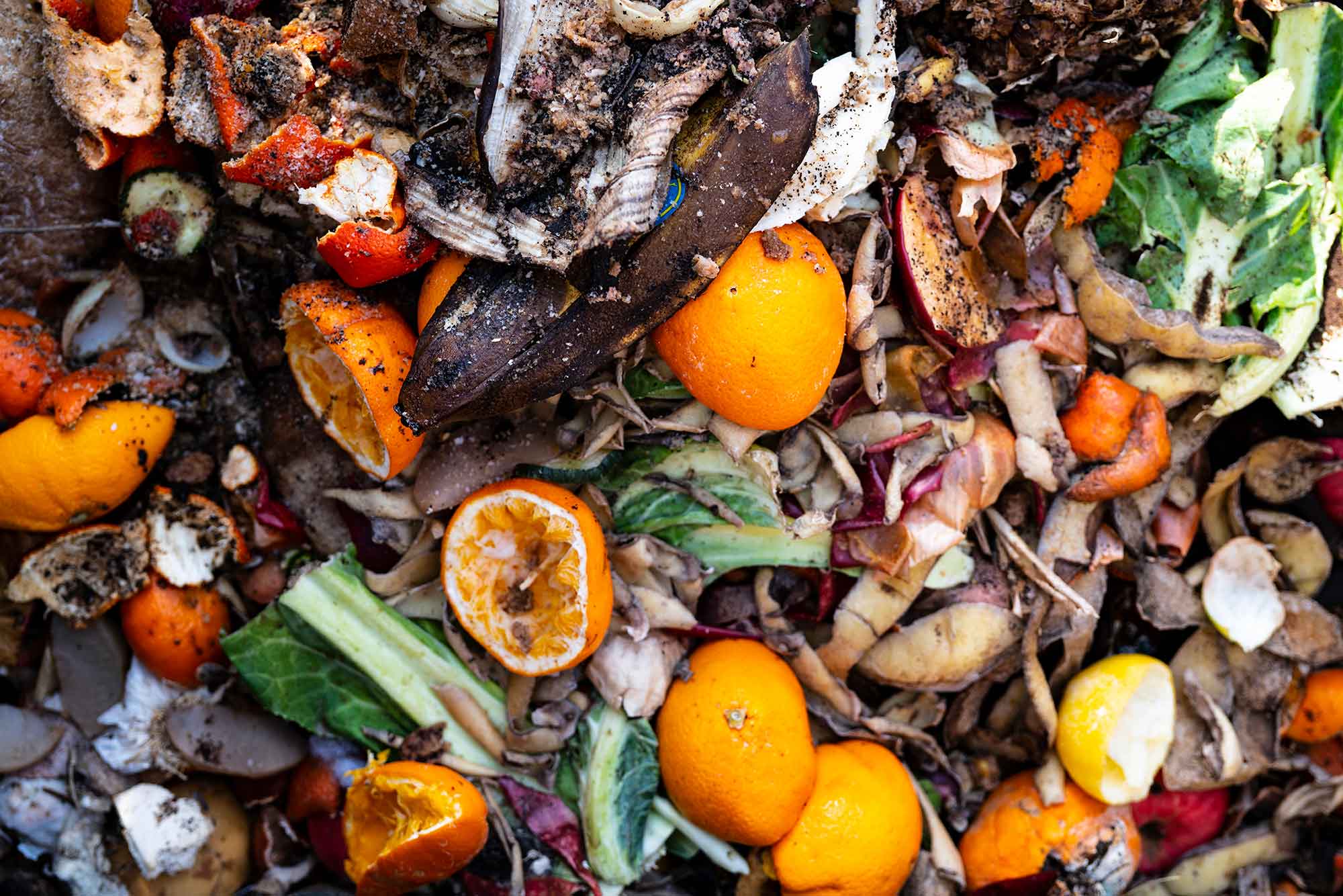 Rotterdam stimuleert productie biobased grondstoffen uit organisch ...