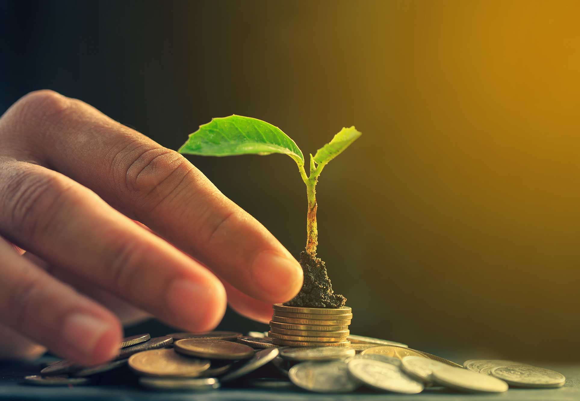 Nieuwe subsidieronde EFRO Oost stimuleert schone technologie | Agro&Chemie