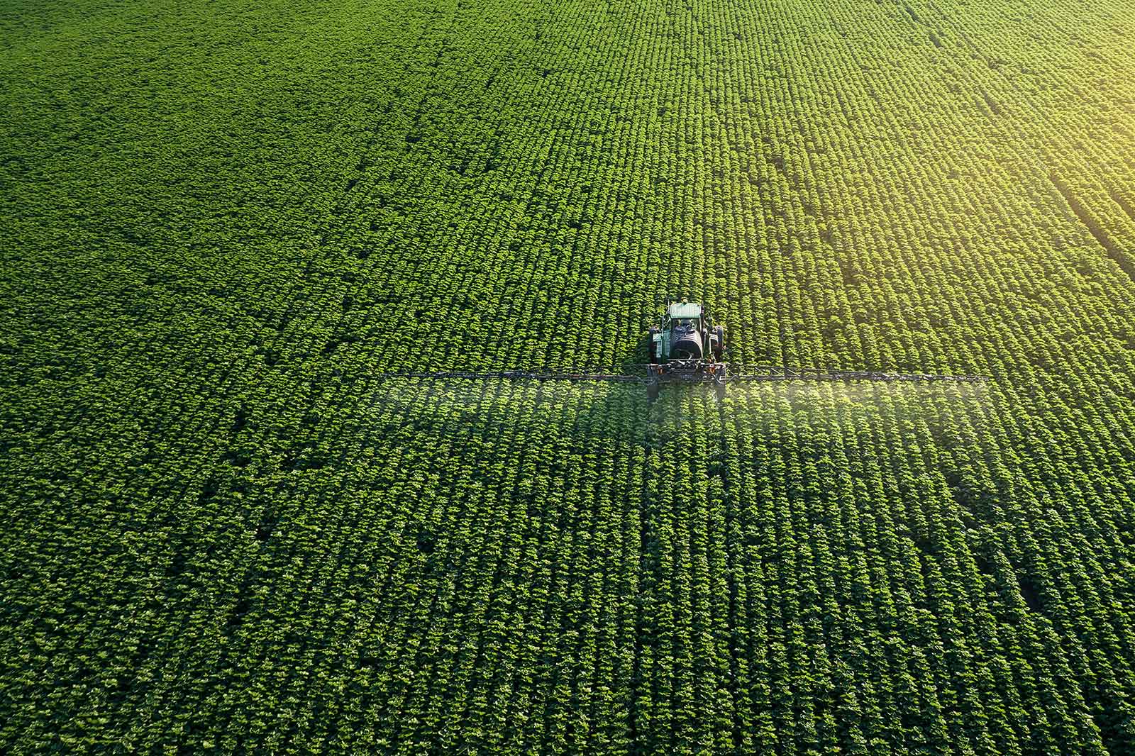 RNA als natuurlijk alternatief voor chemische gewasbescherming | Agro ...