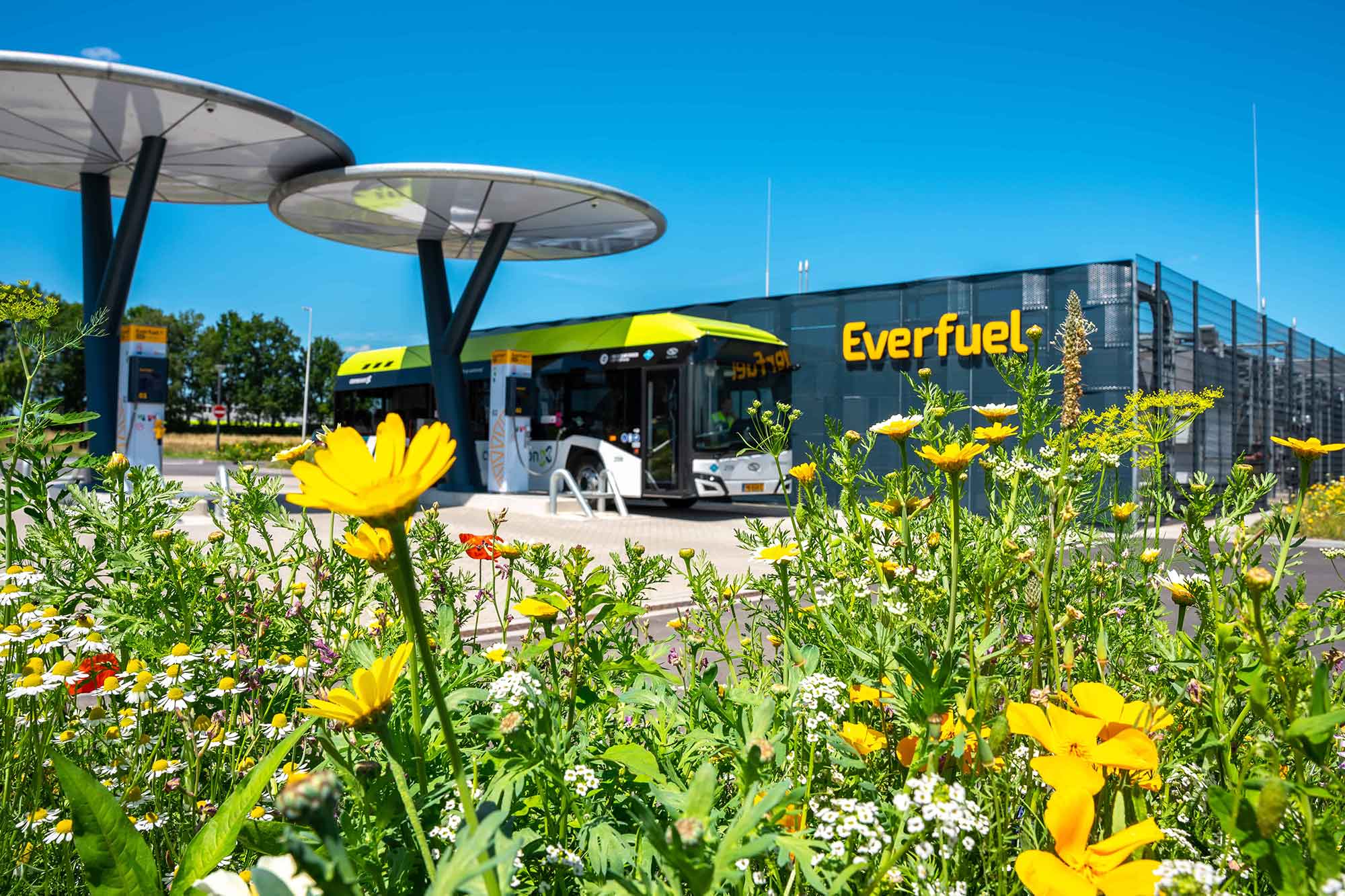 Everfuel en Hy24 versnellen ontwikkeling elektrolysercapaciteit | Agro ...