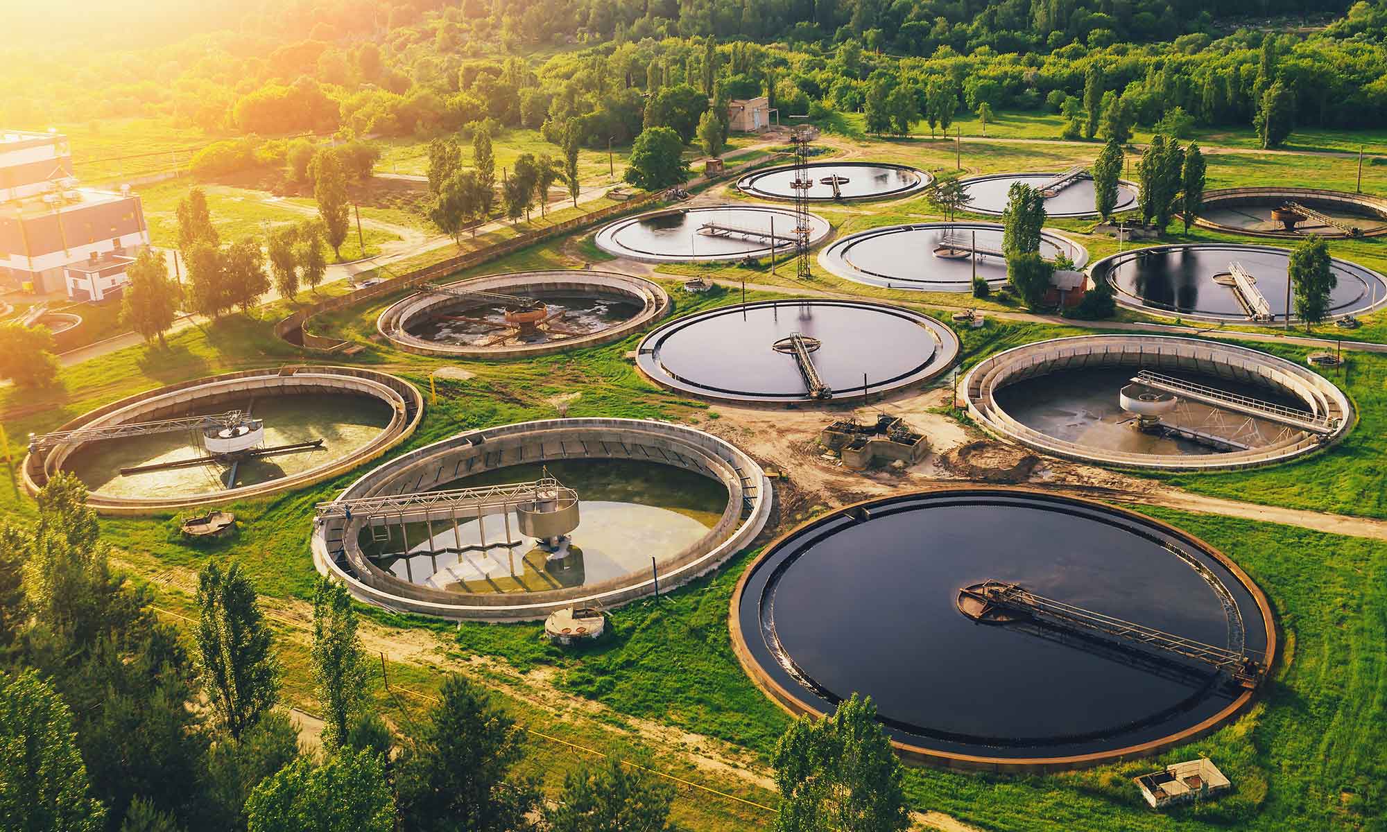 WOW zoekt beste locatie voor PHA bioplastics fabriek | Agro&Chemie