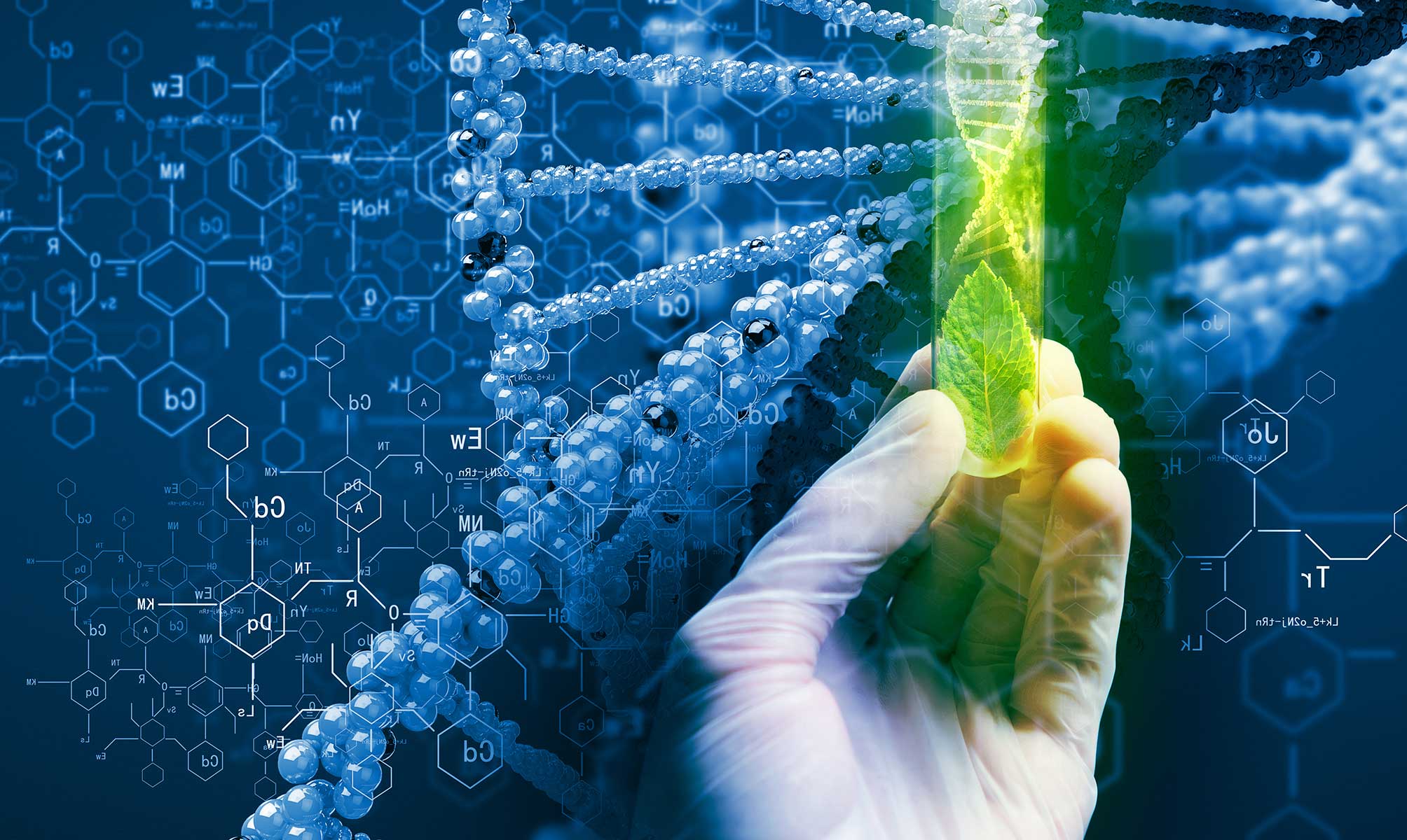 Biotech Booster brengt innovaties sneller van lab naar maatschappij ...